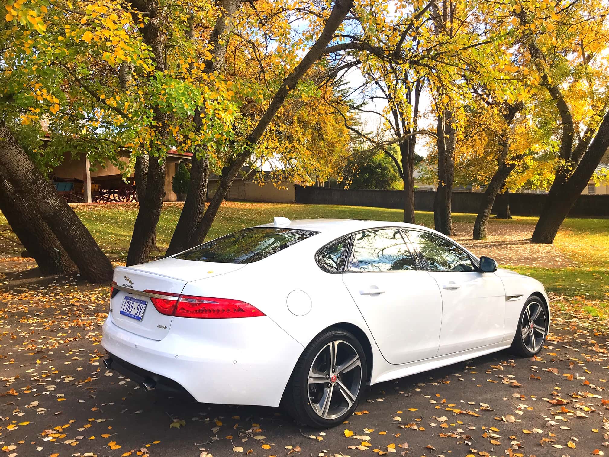 Want to see the Barossa from a luxury Jaguar?